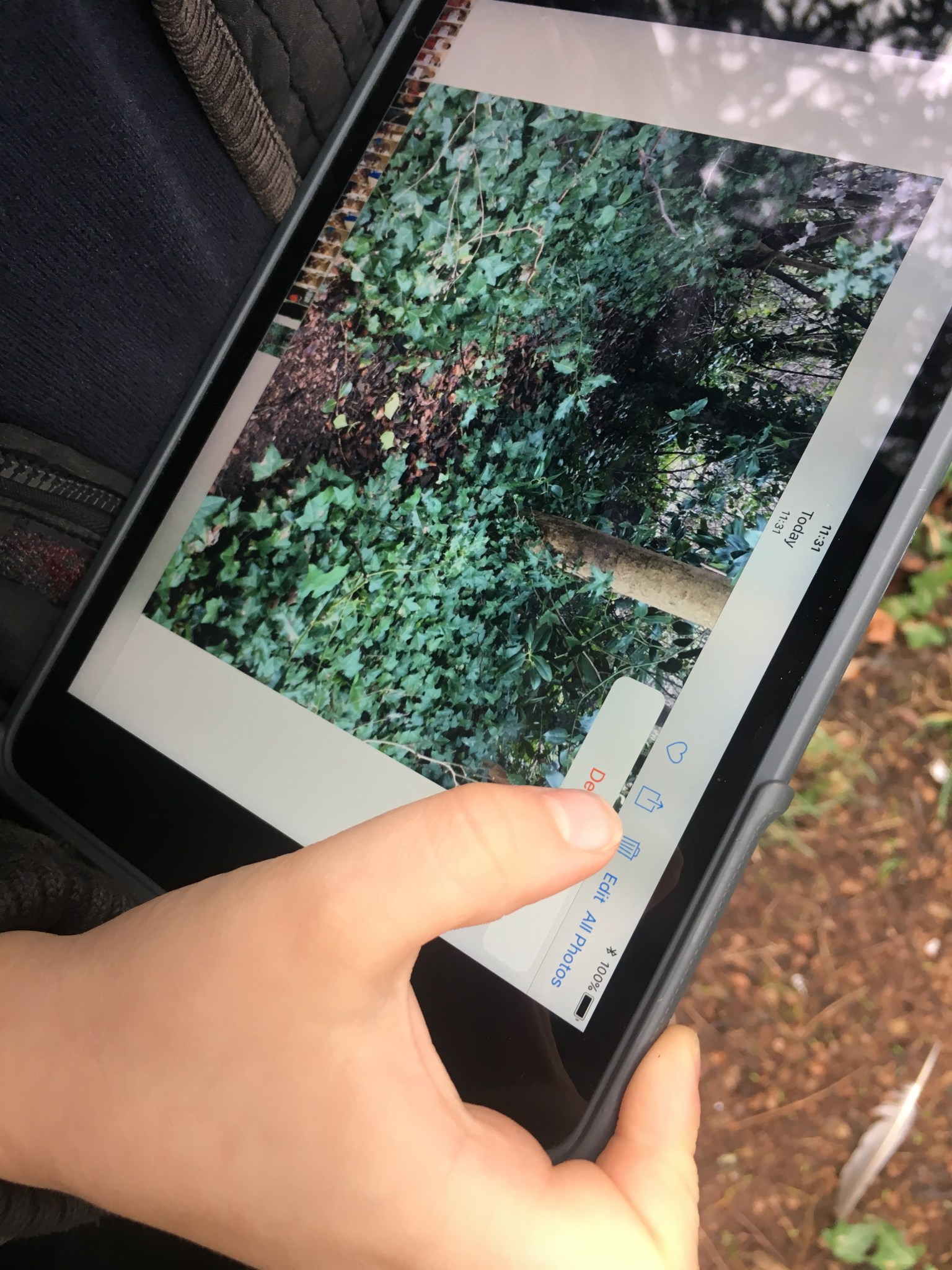 Enabling Environments | technology beginning in the early years